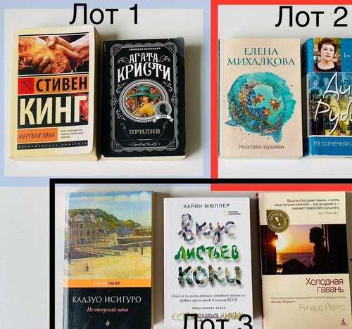 Лоты - книги мягк обложка для путешествий