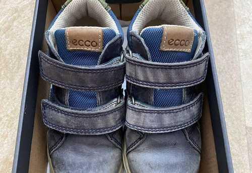 Ботинки Ecco First 24