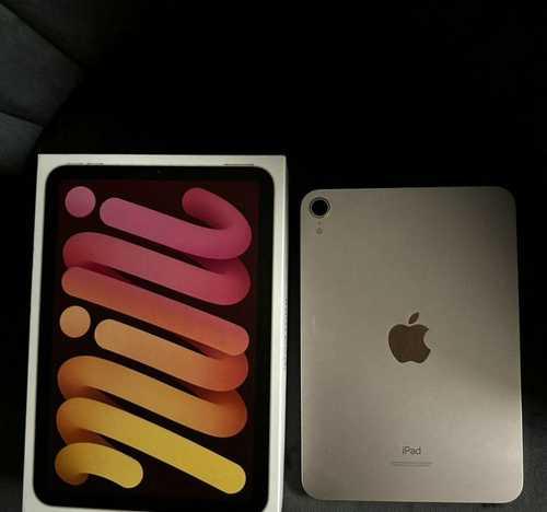 iPad mini 6 256gb wi-fi