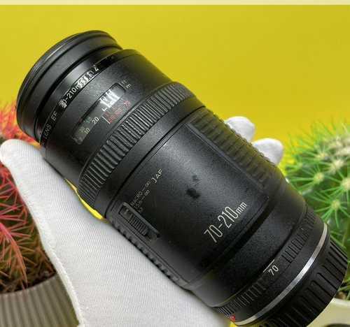 Canon 70-210mm f/4 Macro