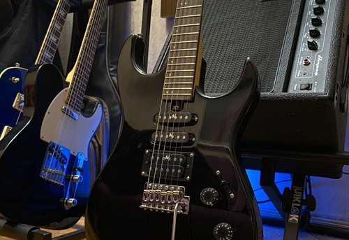 Washburn X-series Korea
