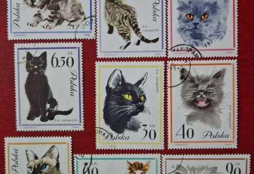 Почтовые марки Коллекция кошек
