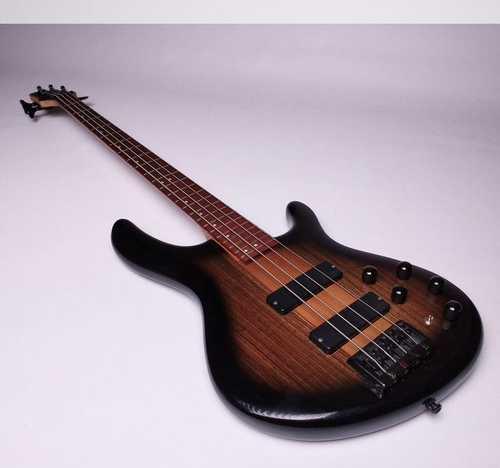 Cort C4 plus Bartolini