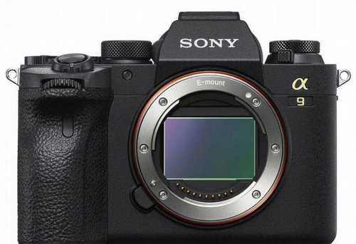 Фотоаппарат Sony Alpha ilce-9M2 Body