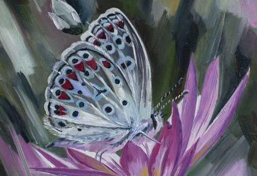 Картина маслом Бабочка на цветке