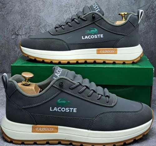 Кроссовки мужские lacoste