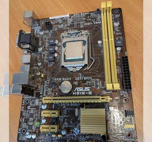 Asus H81M-E 1150 сокет