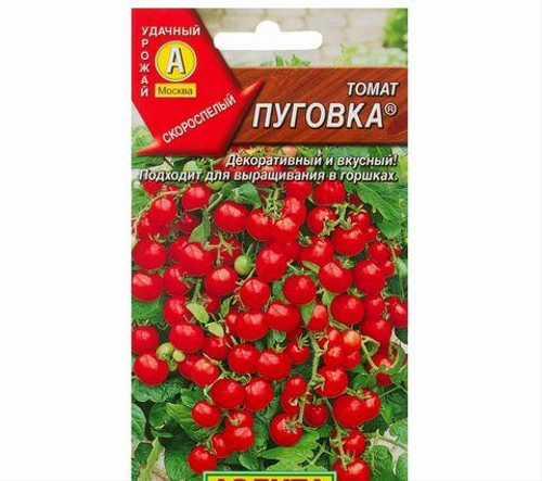 Аэлита томат Пуговка для подоконника 20шт