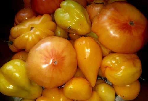 Коллекционные семена томатов #3
