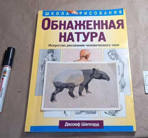 Обнаженная натура. Искусство рисования человеческо
