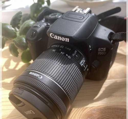 Зеркальный фотоаппарат Canon EOS 700D Kit EF-S 18