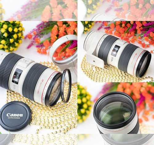 Canon EF 70-200 f/2.8L IS USM, гарантия