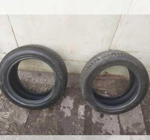 Резина Sava Eskimo ice 205/55 r16