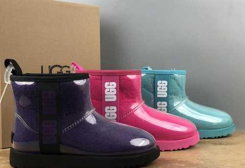 Зимняя обувь женская Ugg Classic Clear