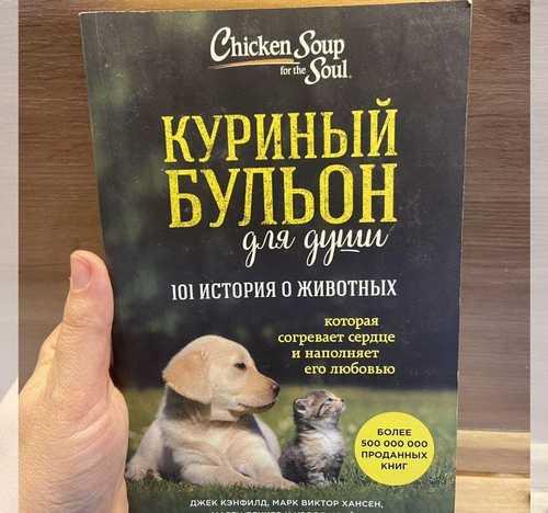 Книга куриный бульон для души