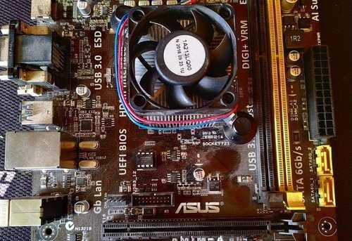 Материнская плата asus am1m-a socket am1