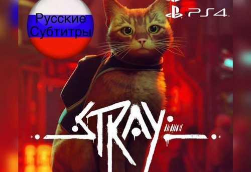 Stray PS4/PS5 Не аренда