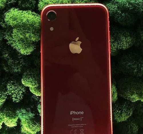 iPhone Xr, 256 ГБ