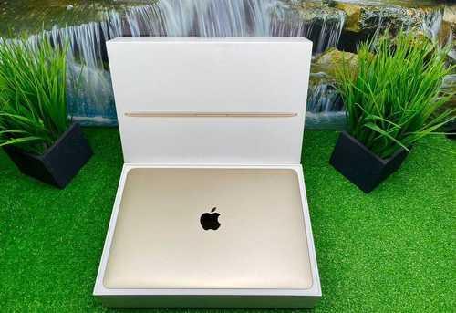 MacBook 12 (2015), 256 ГБ, Core M, 1.1 ГГц, RAM 8 ГБ, Intel HD Graphics 5300