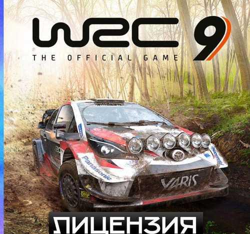 WRC 9 FIA World Rally Championship PS4 PS5