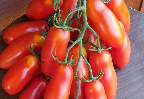 Семена коллекционных сортовых томатов