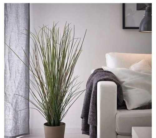 Искусственное растение IKEA фейка