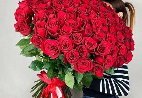 Розы красные Эквадорские 51, 101 с доставкой