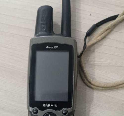 Навигатор garmin astro 220 с ошейником DC-40