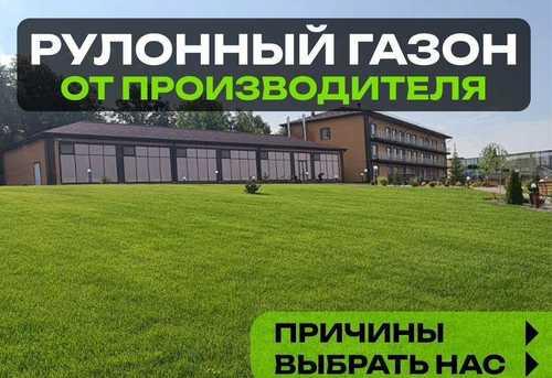 Рулонный газон Элитный. От производителя
