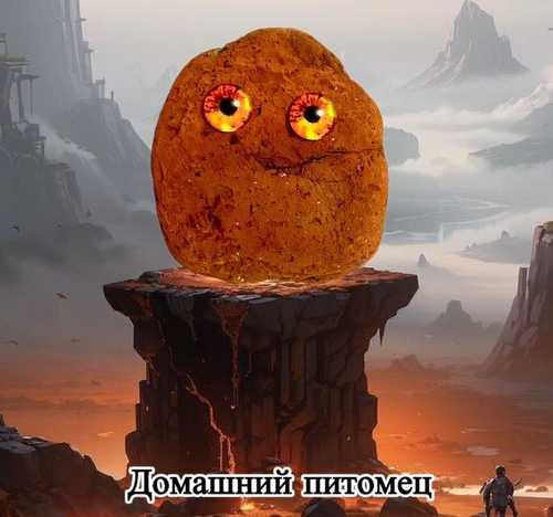 PET rock Домашний питомец камень с глазками