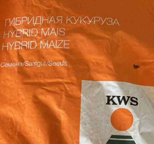 Кукуруза семена гибрид KWS Hybrid Mais