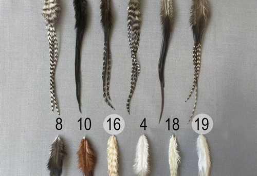 Перья гризли мини для наращивание в волосы