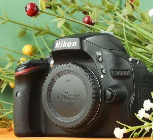 Фотоаппарат Nikon D5100 body