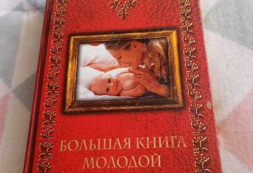 Большая книга молодой мамы