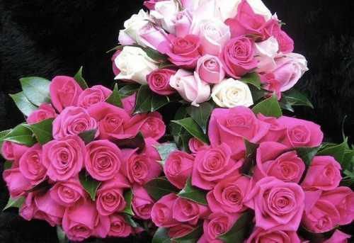 101 Роза Букеты Цветы Доставка Розы
