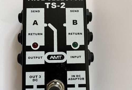 AMT True selector TS-2