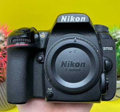 Nikon D7500 Body