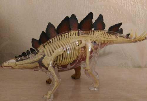 Анатомическая модель динозавра