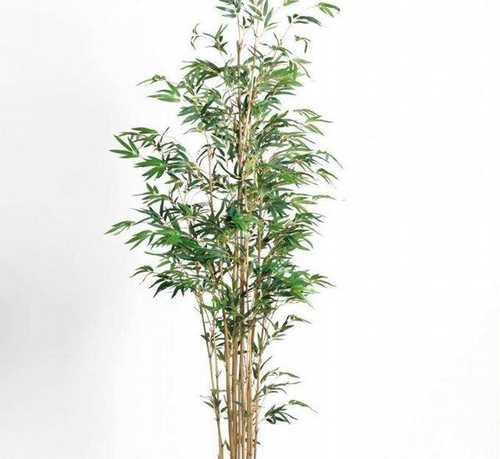 Искусственное дерево натуральный бамбук
