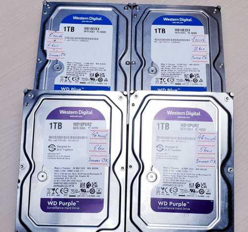 Жесткие диски Western Digital Blue и Purple 1Tb