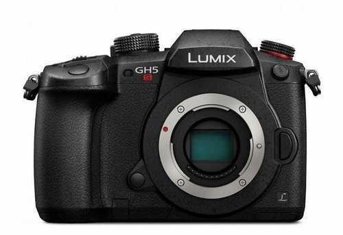 Panasonic Lumix DC-GH5S Body