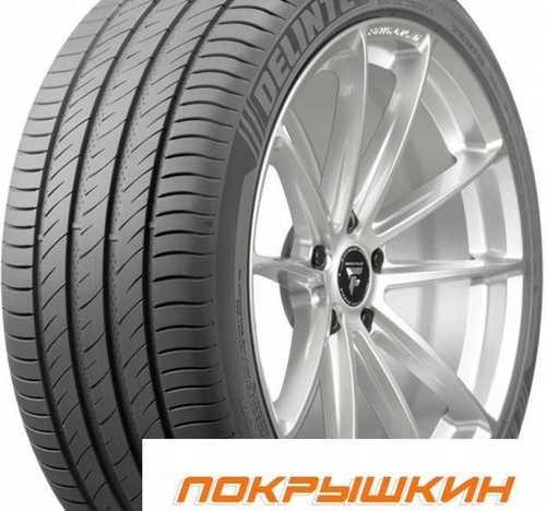 Delinte DS2 225/55 R16 99W