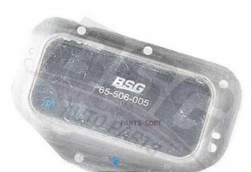 BSG auto parts BSG65506005 BSG 65-506-005 радиатор