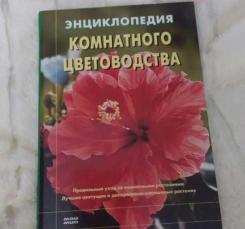 Книга