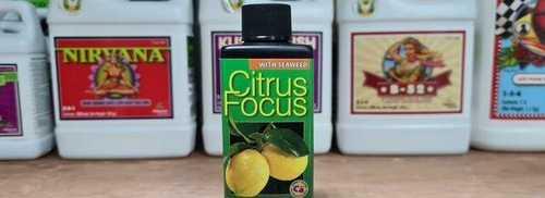 Удобрение для цитрусовых растений Citrus Focus 100