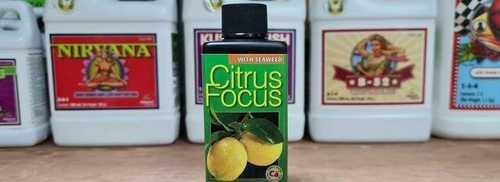 Удобрение для цитрусовых растений Citrus Focus 100