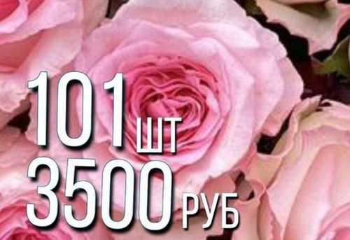 Букет роз"купить цветы"Тольятти с доставкой