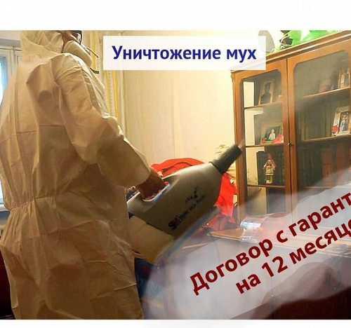 Уничтожение клопов тараканов клещей