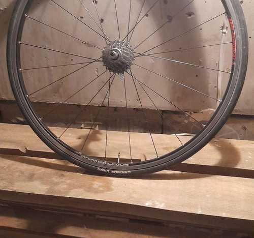Proton campagnolo резина Мишлен
