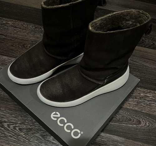 Сапоги женские ecco